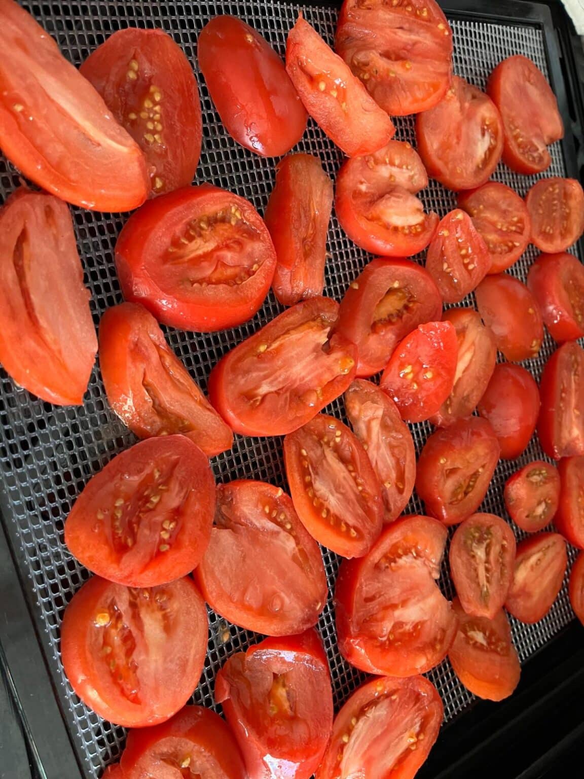 How to Dehydrate Tomatoes for Shelf Stable Storage - Tomato Garden