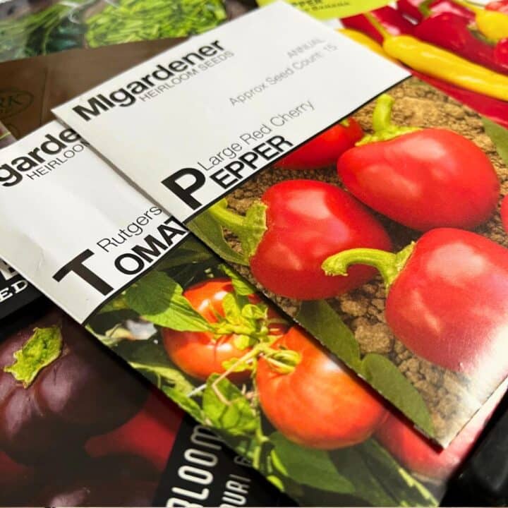 6 Good Ways to Support Tomato Plants (Stakes, Trellises and More ...